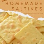 Saltine Cracker Recipe from Scratch | Restless Chipotle