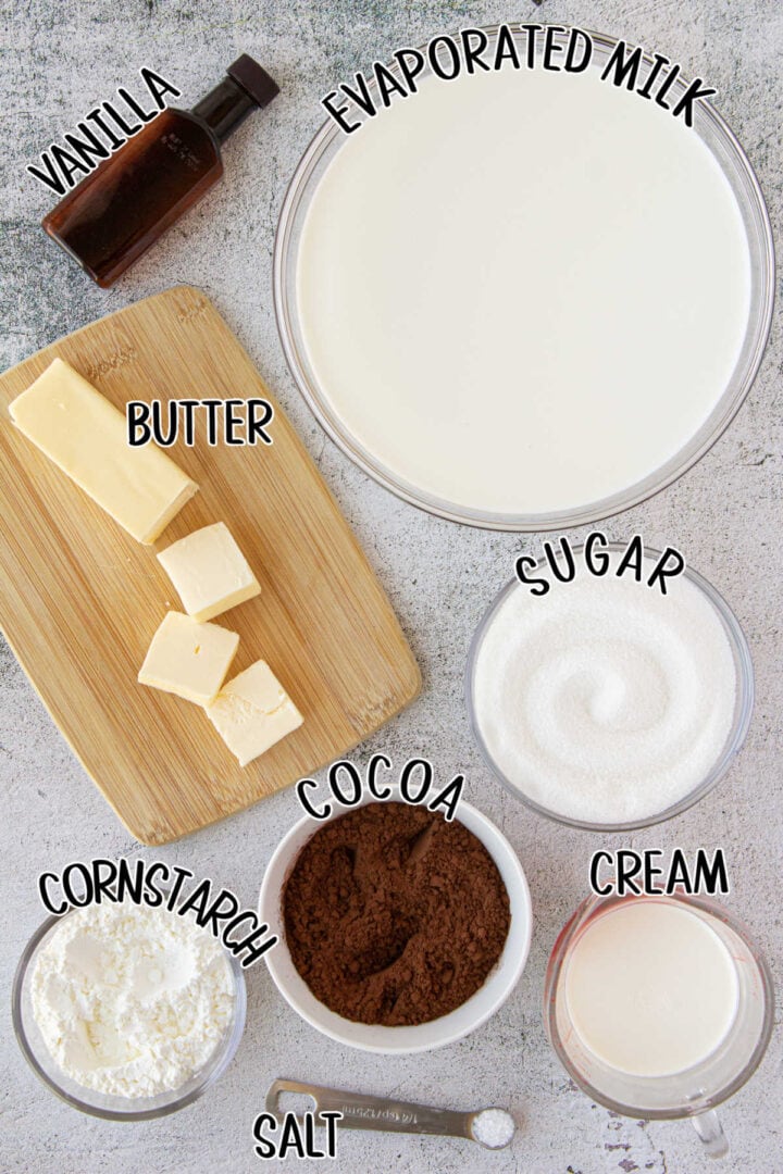 Easy Homemade Chocolate Pudding in the Microwave - Restless Chipotle