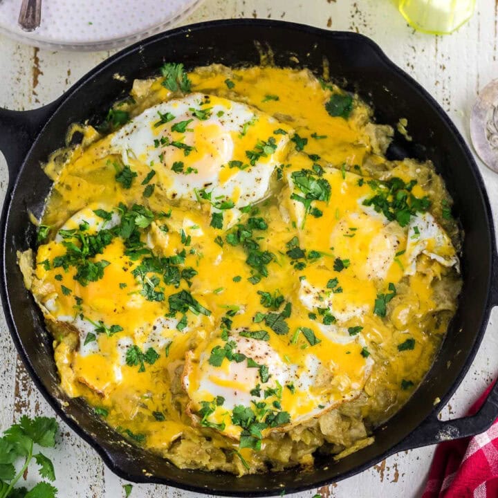 Easy Crustless Zucchini Quiche with Bisquick Recipe - Restless Chipotle